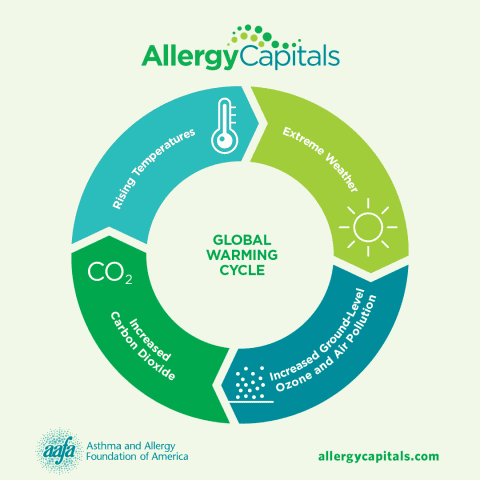 Tree Pollen Allergy | AAFA.org