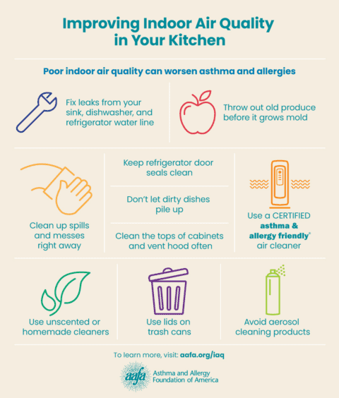 Cockroach Allergy: How to Identify and Treat | AAFA.org