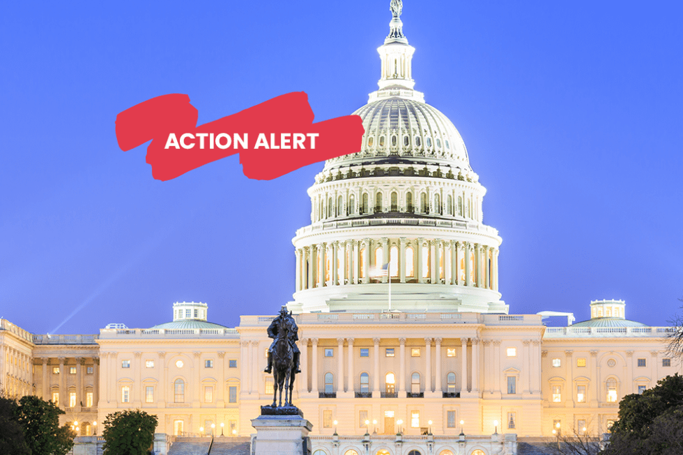 About Asthma and Allergy Foundation of America | AAFA