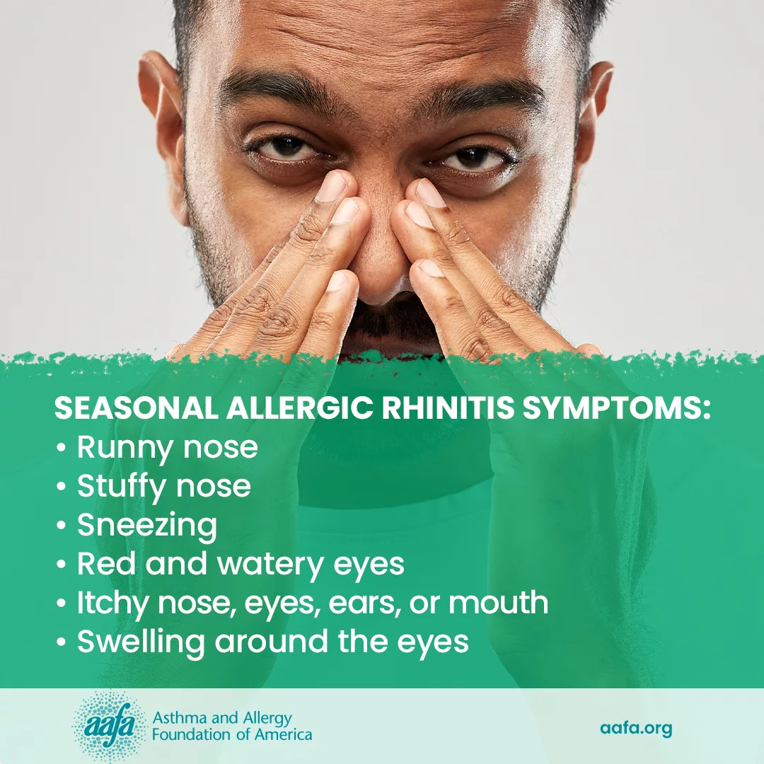Rhinitis Rhinitis Nasal Allergy Hayfever