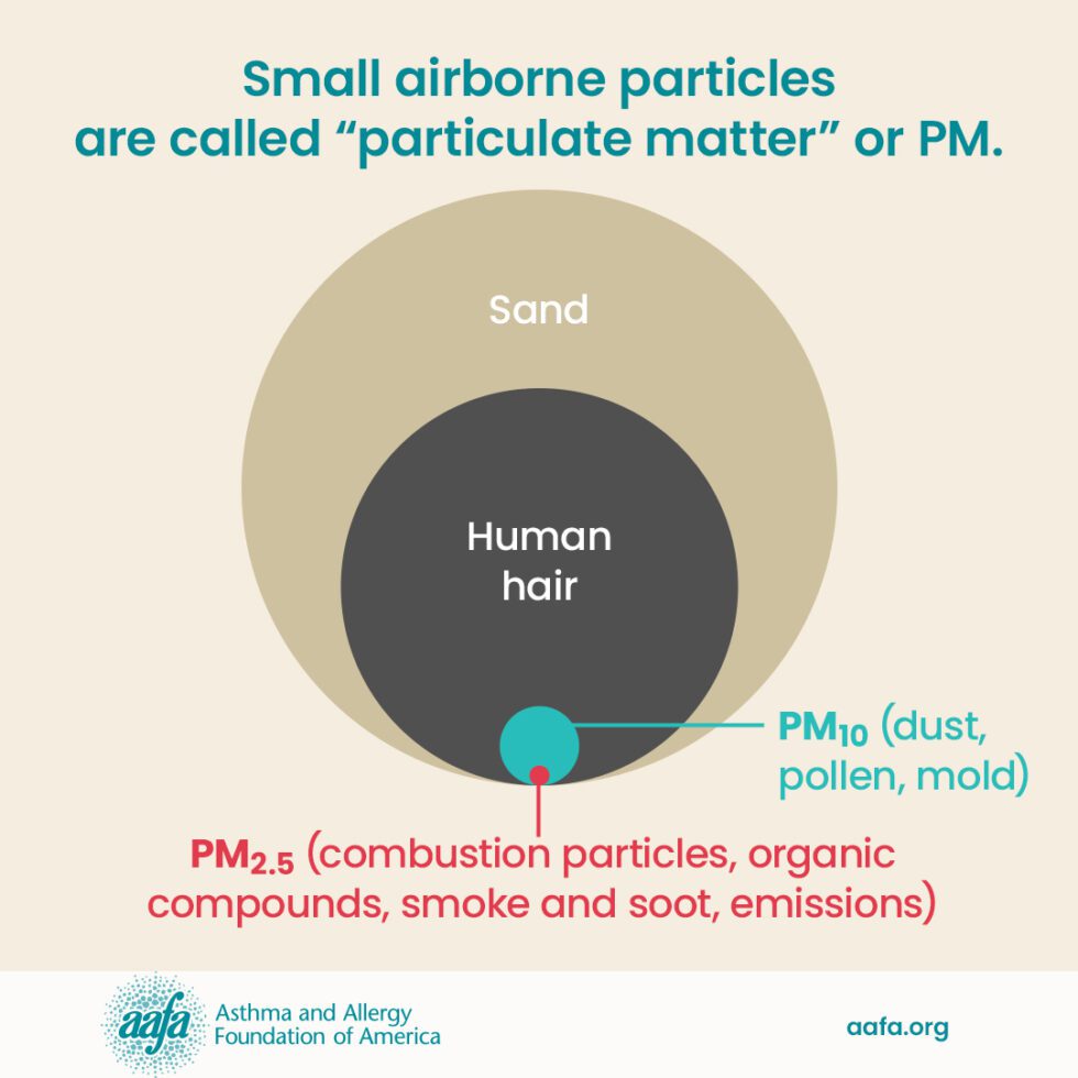 Air Pollution and Asthma | AAFA.org