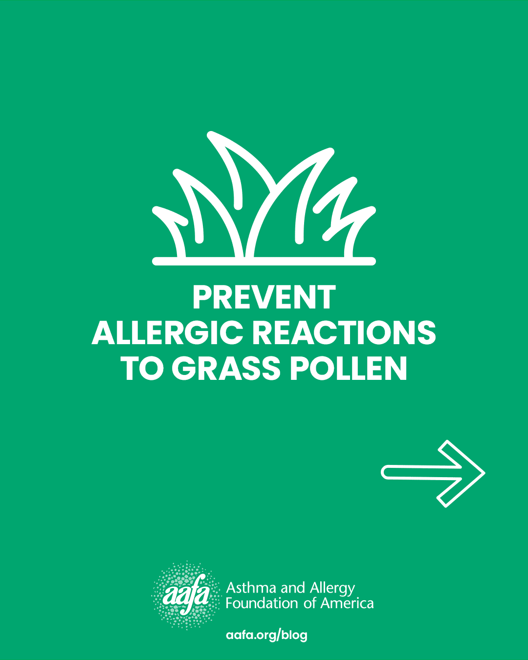 What If You’re Allergic to Grass? 10 Steps to Managing Grass Pollen ...